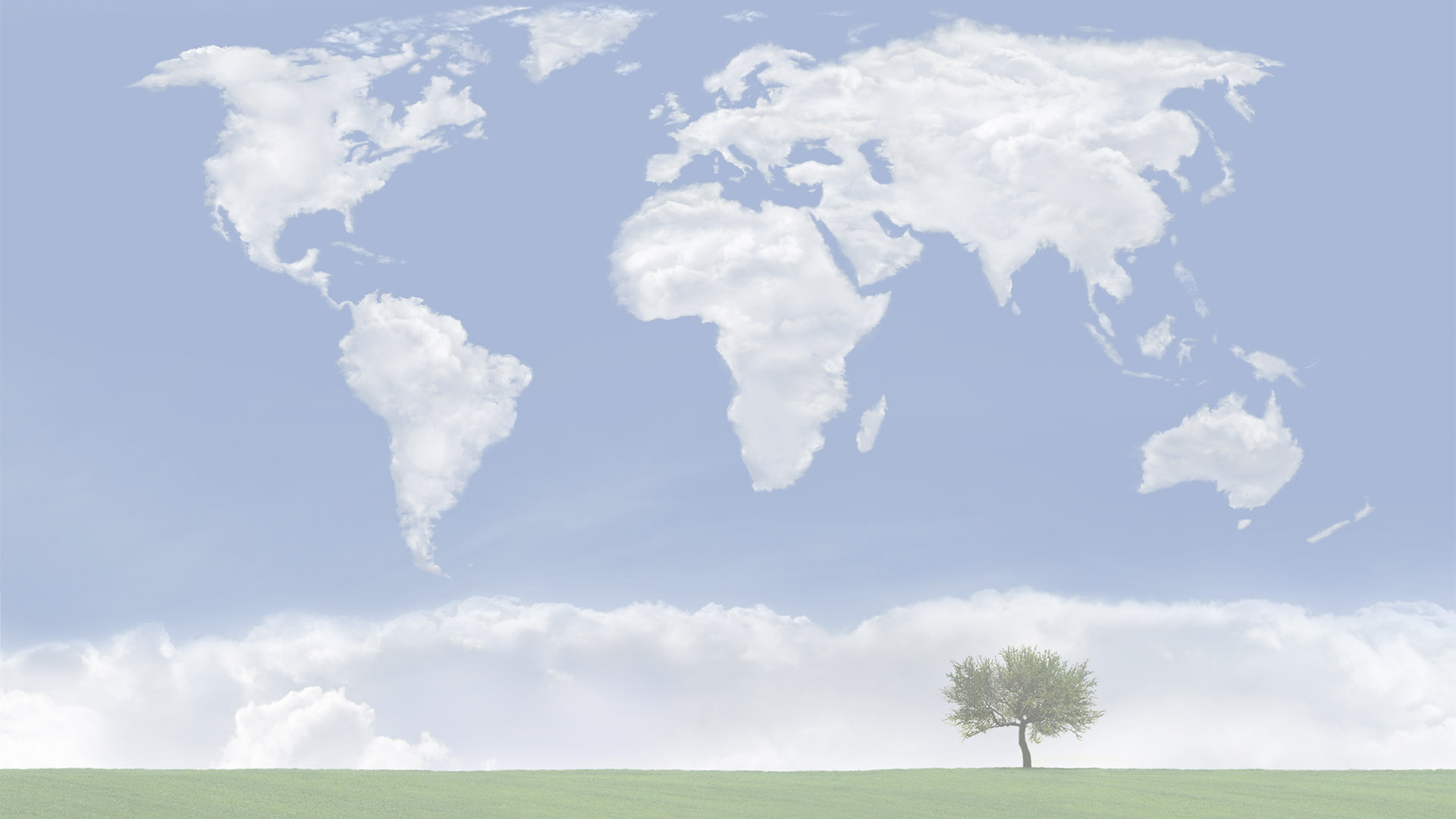 Global Tracks – Customized Educational Travel